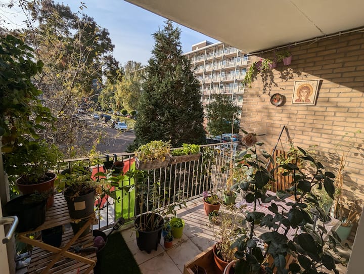 Cozy&spacious Apartment In Haarlem - Haarlem