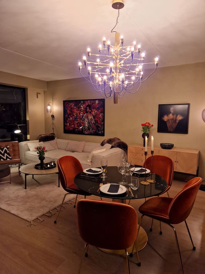 Sentral, Velutstyrt Leilighet, Parkering & Balkong - Oslo