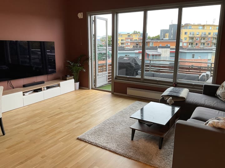 Sentral Leil, Gratis Parkering ,Wifi,netflix Etc - Oslo