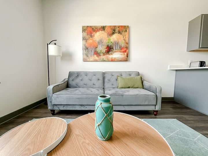 Sleepover | Picturesque 1bd/1ba - Des Moines - West Des Moines, IA