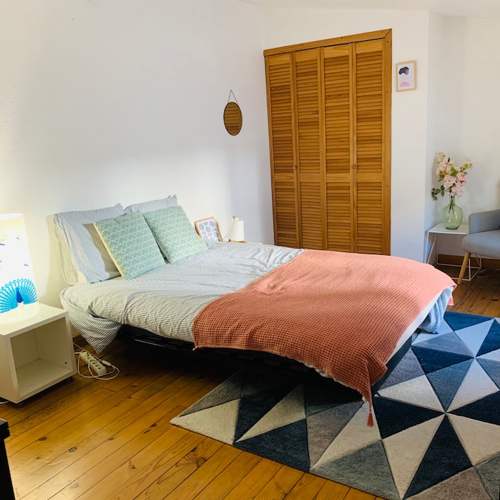 Superbe Appartement Cosy Centre Ville - Roanne