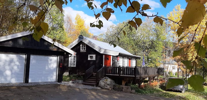 Sentral, Fin Og Stor Familiehytte. ÅRemål Vurderes - Hemsedal