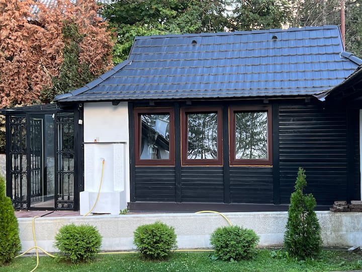 Summer And Winter Romantic Place. - Zlatibor