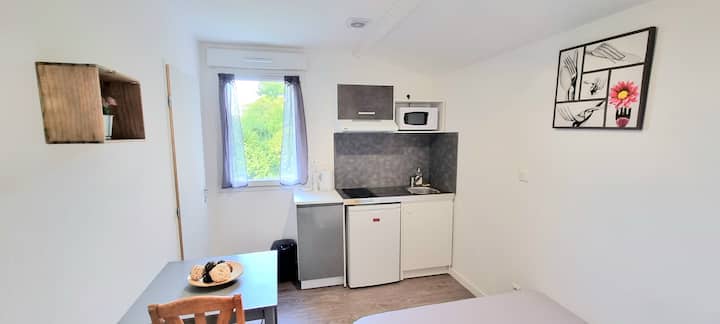 Studio Secteur Rangueil #11 - Metro - Jardin -Wifi - Toulouse