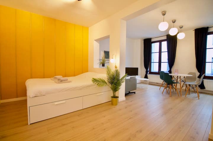 Superb Spacious Studio - City Center - Bruxelas