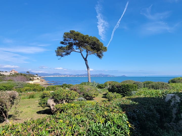 Le Serenity : Mer, Calme Et Tranquillité - Fréjus