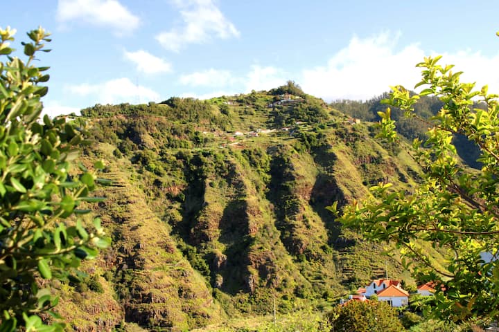 Double Room With Outdoor Kitchen In Ribeira Brava - Madeira