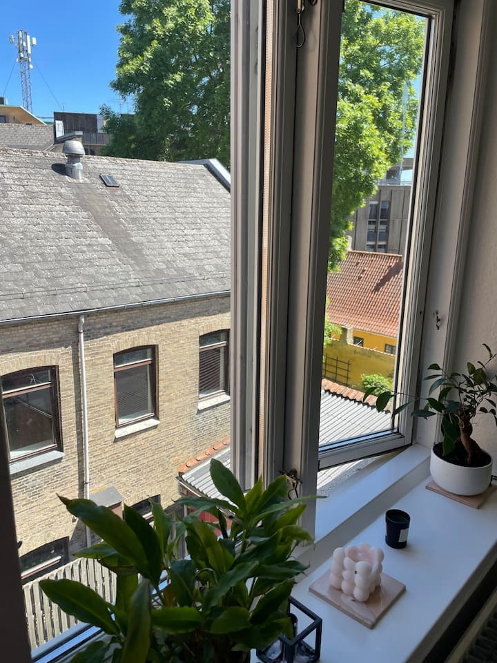 Central Herskabslejlighed Ved Hc. Andersens Hjem - Odense