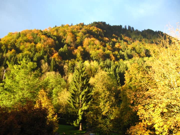 Top! 3-zi-wohnung 70m2 Direkt Am Berg! Oberallgäu - Immenstadt im Allgäu