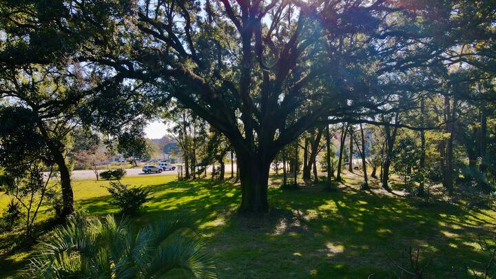 Ideally Located Camp / Rv Site With Free Parking - Fairhope, AL