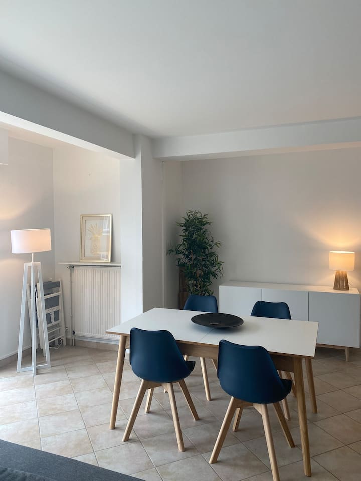 Brest : Appartement  En Hyper Centre Au Calme - Finistère