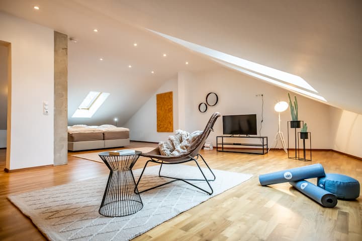 Penthouse Mainzer Innenstadt - Mainz