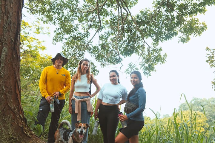 Habitación 2 Camas Individuales Hotel Boutique - Bucaramanga