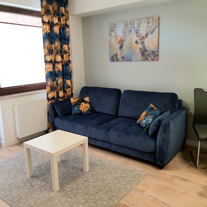 Apartament City Center Zdrojowy 510 - Krynica-Zdrój