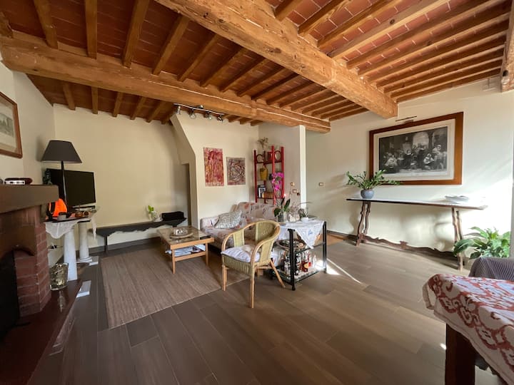 Rustico Sul Guappero 135b - Lucques