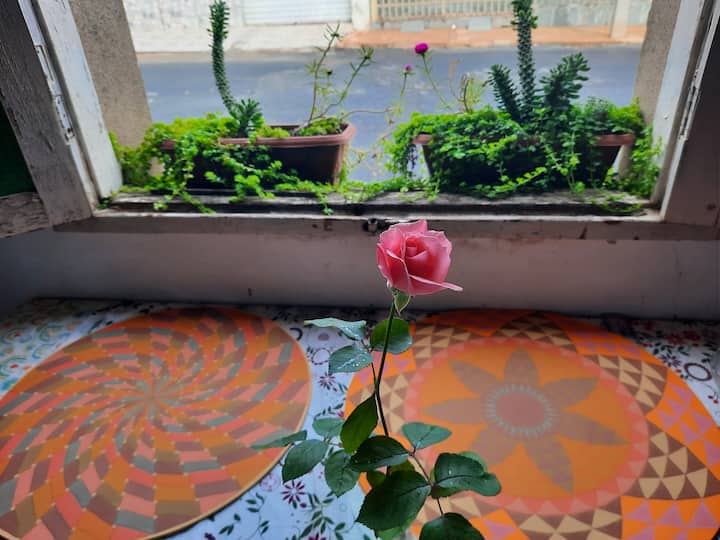 Uma Casa Que é Atelier De Artes. - Florestal