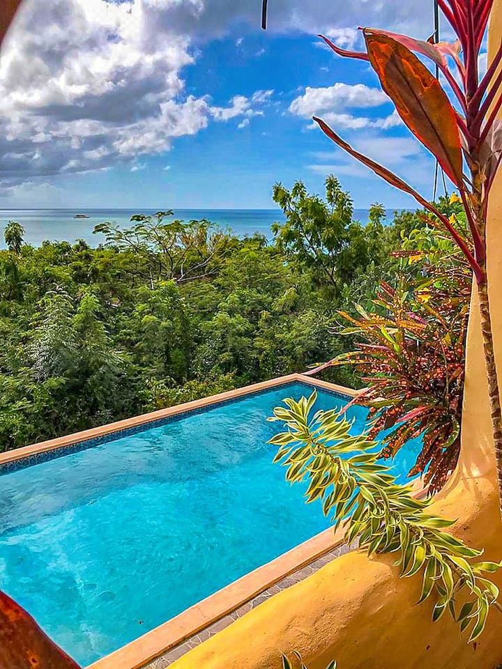 Paradise View Villa With Private Pool - Antigua and Barbuda