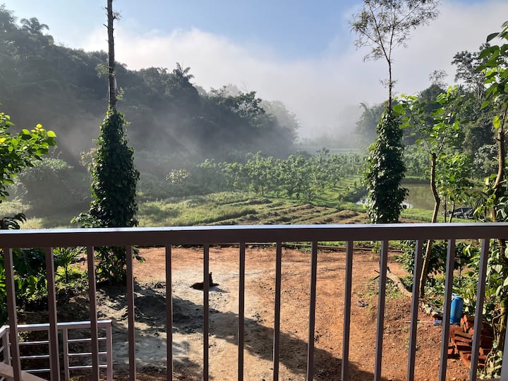 Green Turfs Farmstay - 코다구