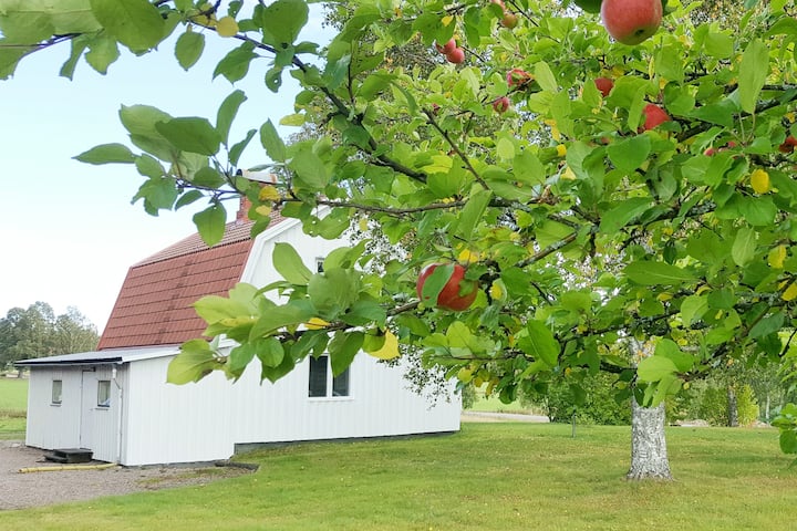 Cosy Cottage And Barn - Torsby