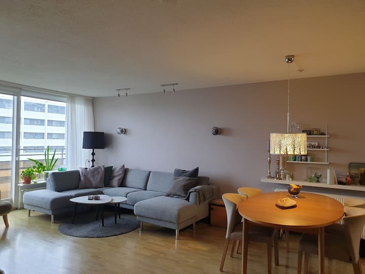 Rúmgóð Og Falleg íBúð Miðsvæðis í Reykjavík. - Islândia