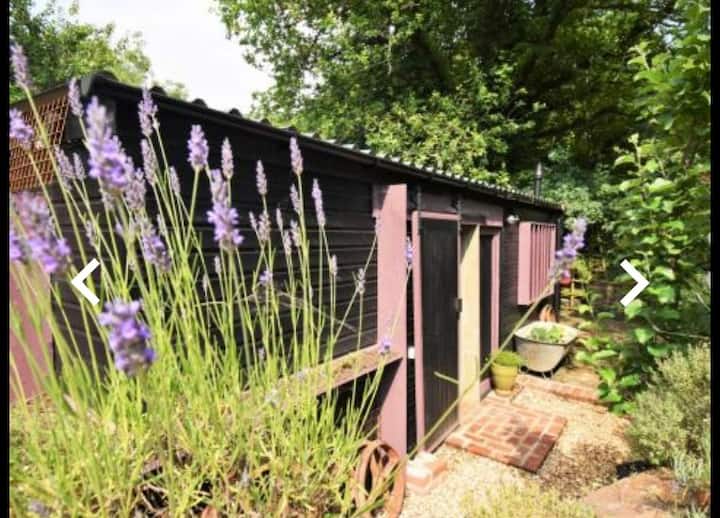The Potting Shed - Okehampton