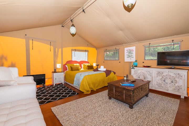 Top 6 Glamping Spots In Rotorua, New Zealand - Updated 2025 | Trip101