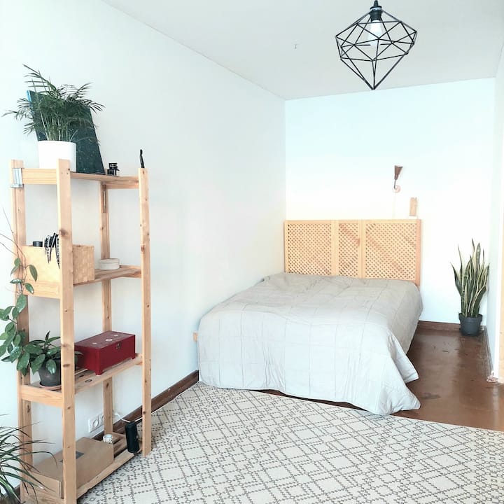 Riverbank Apartment - Vilna