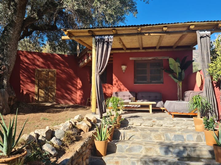 Casita Papillon - Soportújar