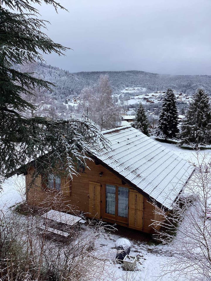 Chalet à 5 Minutes Des Pistes Et Des Lacs. - Lac de Longemer