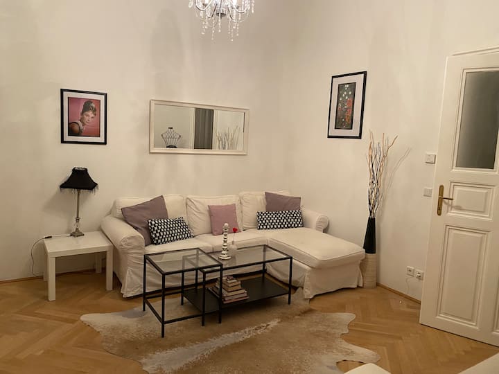 Stillvolle Altbauwohnung 5 Min Bis Stephansdom - Wiedeń