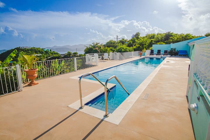 Casa Dana - 5 Bedroom Luxury Villa - 50 Foot Pool - セント・ジョン島