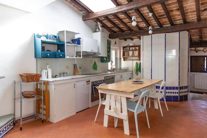 Cheerful 3 Bedrooms Flat In Piazza Santo Spirito - Florencia, Italia