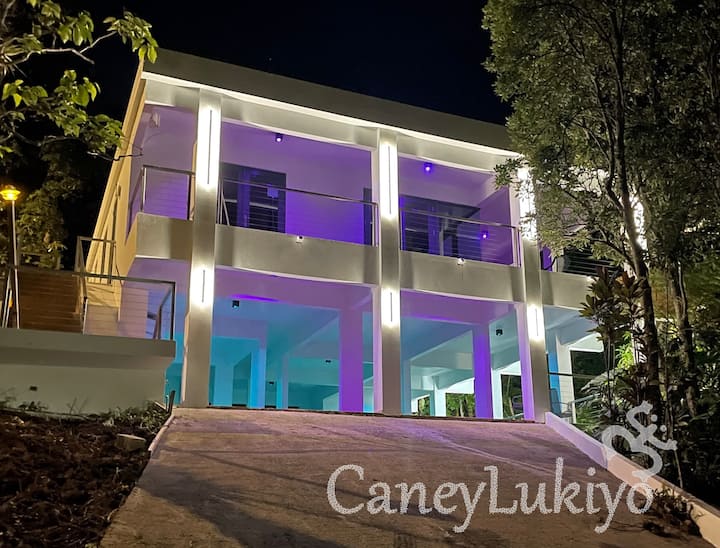 Relaxing Lake House (Caneylukiyo) - Guayama