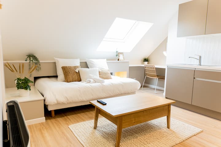 Le Zen | Superbe Logement | Centre | Tram | Gare - Le Mans