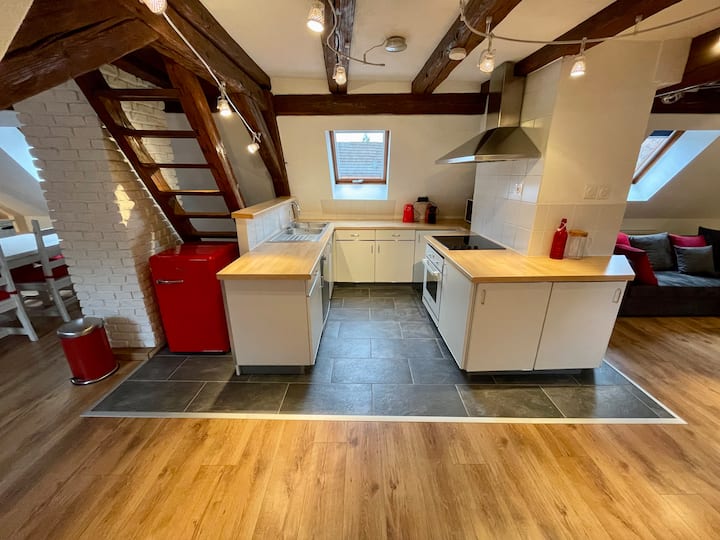 Le Petit Linck - Typique Au Coeur De Colmar - Eguisheim