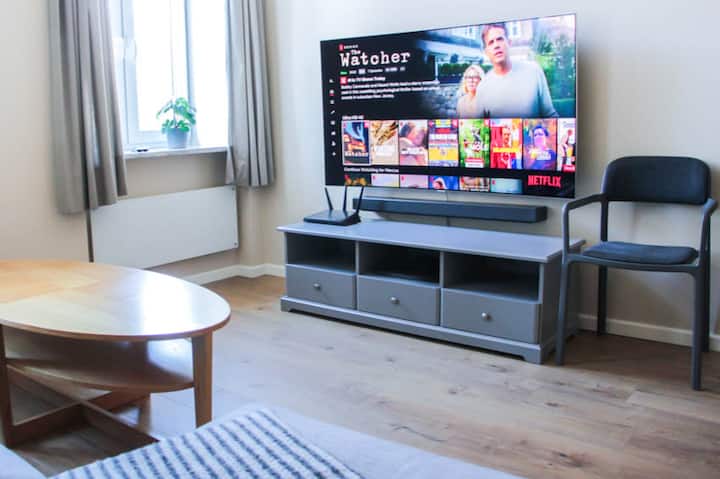 Luxury Renovated - 600 Mbit - 64 M2 - 65 Inch Tv - Riga