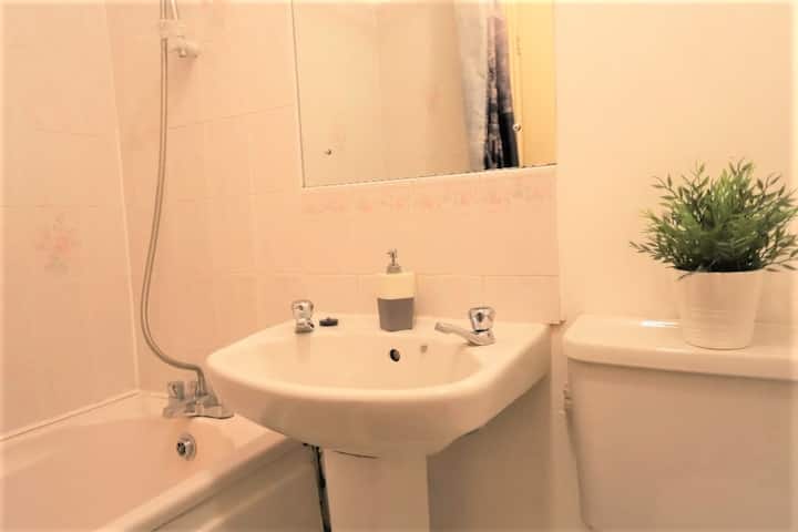 Central 1 Bedroom Apartment At The Hapenny Bridge - Dublin
