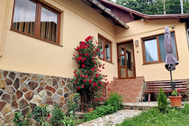 Casa Tex Busteni - Bușteni