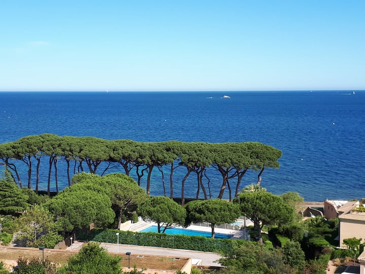 Mary - Sainte-Maxime