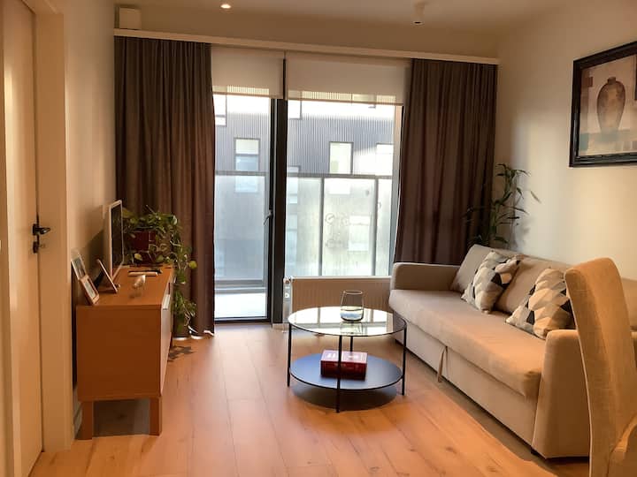 Lovely 1 Bedroom Apartment In Central Reykjavik - Reykjavík