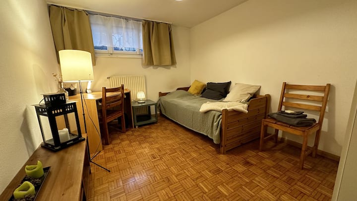 Colocation Dans Appartement Au Calme - Saint-Julien-en-Genevois