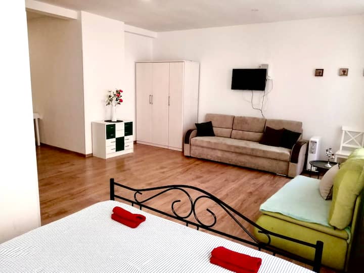 Modern 1 Bedroom Apartment 2 Minutes To The Center - Teplice