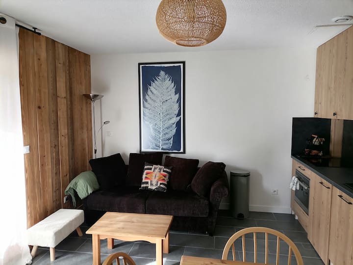 Appartement Rez-de-jardin Avec Piscine Intérieure - Samoëns