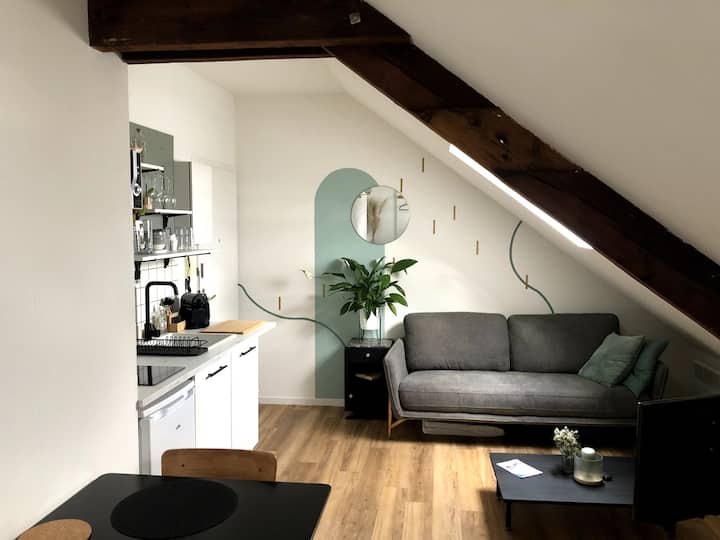 Studio Hyper Centre - La Petite Mansarde - Longvic
