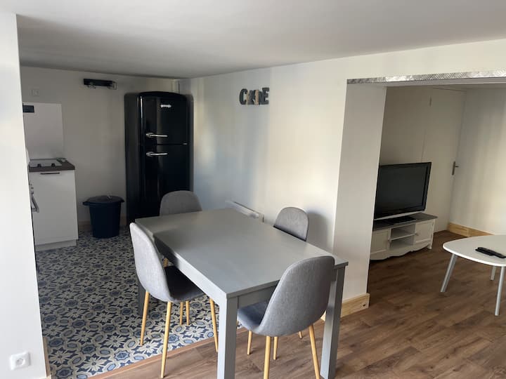 Appartement Atypique Proche Tours Centre - Saint-Cyr-sur-Loire