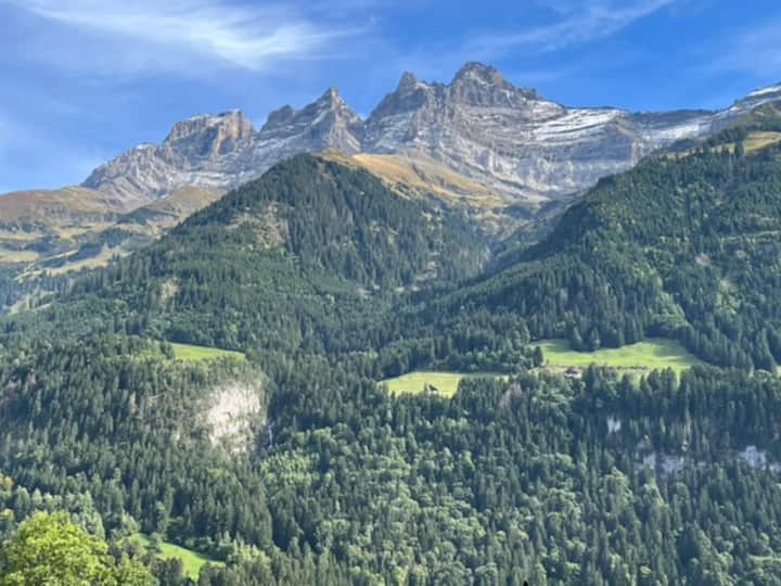 Grand Studio, Centre Champéry, Neuf, Exceptionel - Champéry