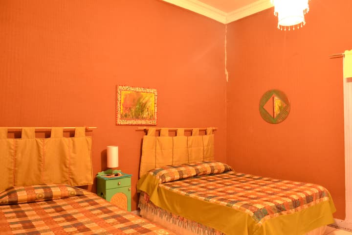 Casa Colonial Centrica Con Desayuno Baño En Suite - Vicuña