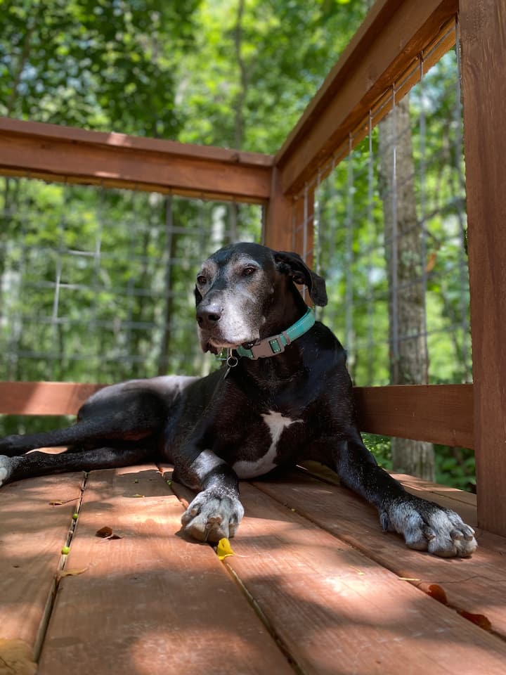 Top 5 Yurts In Floyd, Virginia - Updated 2025 | Trip101