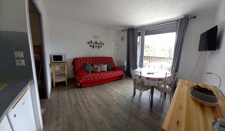 La Joue Du Loup 4 Per 120 M Des Pistes Et Piscine - La Joue du Loup