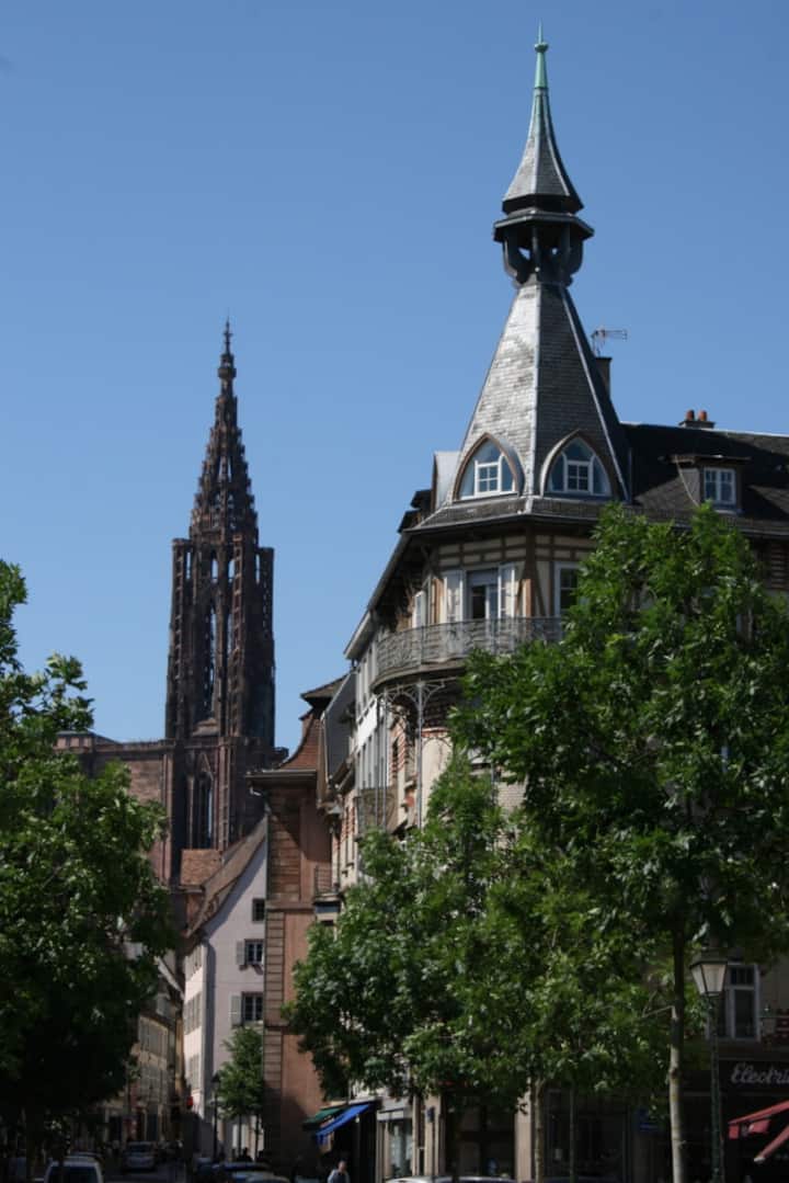 Loft Dans Un Immeubles Style Art Nouveau - Strasbourg